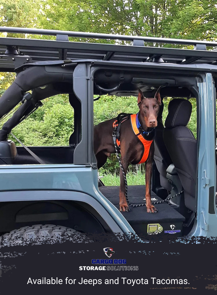 Cargo Dog Storage Solutions