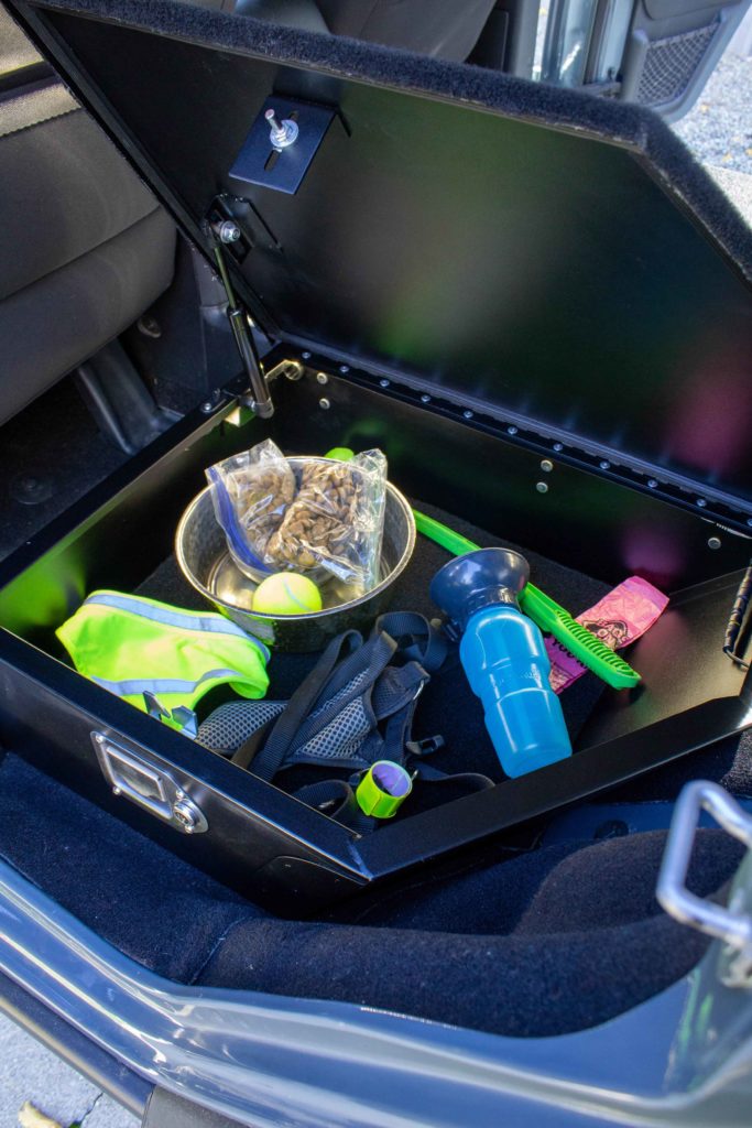 Cargo Dog Storage Solutions